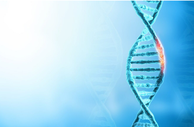 New Genetic Cancer Screening: What Patients Should Know - Internal ...